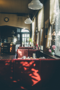 猫cat – tanco photography